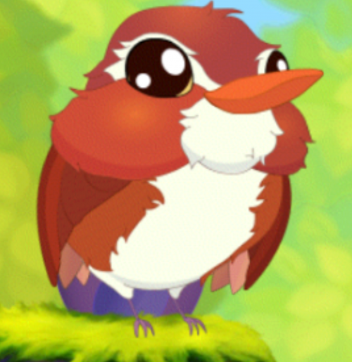 Create a Flutter: Butterfly Sanctuary Tier List - TierMaker