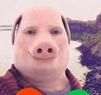 Create a NSE OW2 HERO RANKS Tier List - TierMaker