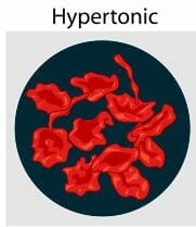 Create a S1 Science Topics Tier List - TierMaker