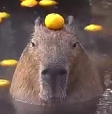 Rank your fav games Tier List (Community Rankings) - TierMaker