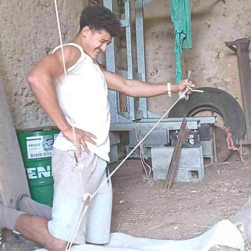 MATOS MUSCU MAISON, Tier List (Community Rankings) - TierMaker