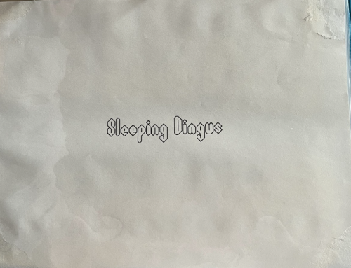 Create a Sleeping Dingus Sticky Notes Tier List - TierMaker