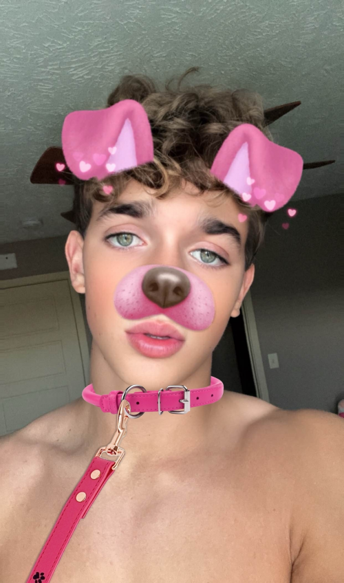 Create a Sniff Maxwell Viewer Ranking Tier List - TierMaker