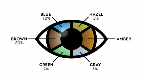 Eye colour Tier List (Community Rankings) - TierMaker