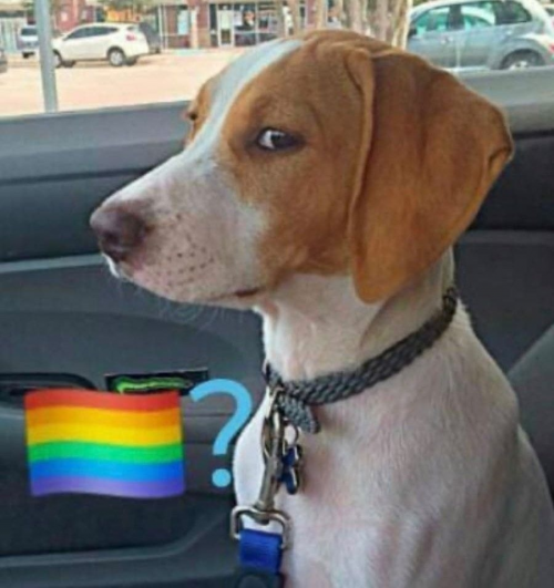 Create a lgbtq sus memes Tier List - TierMaker