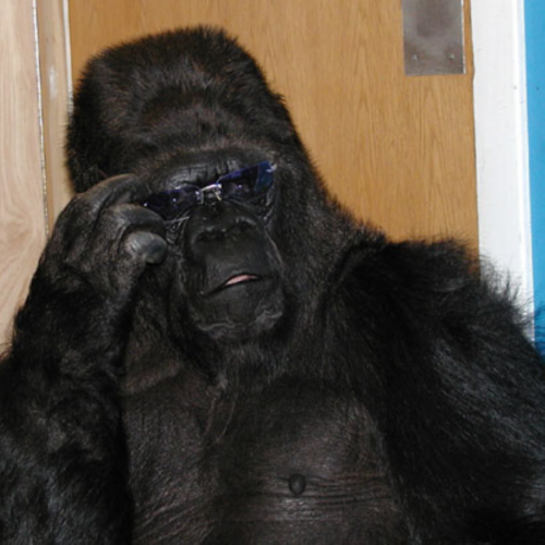 Create a Music World Channels Tier List - TierMaker