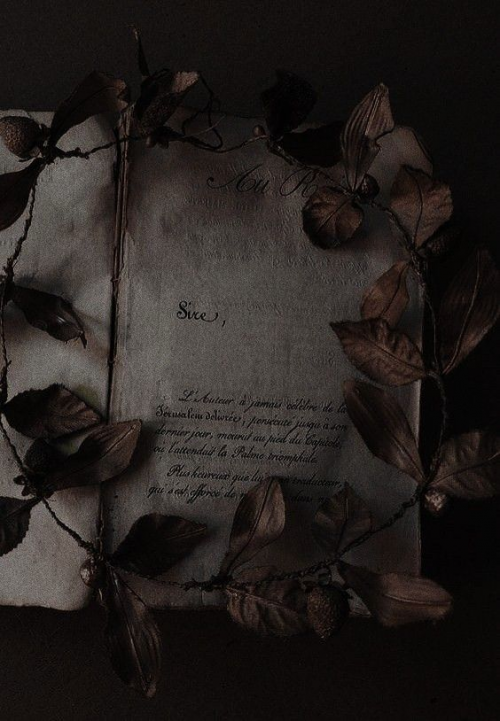 Liste d'OC de Kat Tier List (Community Rankings) - TierMaker