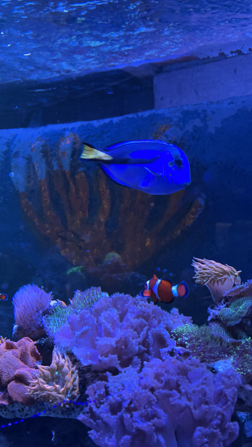 Create a top minos by mj Tier List - TierMaker