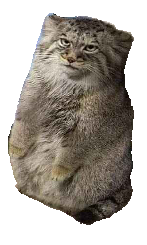 h Tier List (Community Rankings) - TierMaker