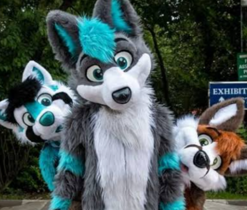 Furrys ️🐺🦊 Tier List (Community Rankings) - TierMaker