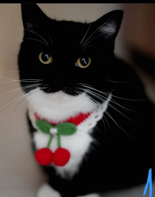 Arsenal Dustfall uptade Tier List (Community Rankings) - TierMaker