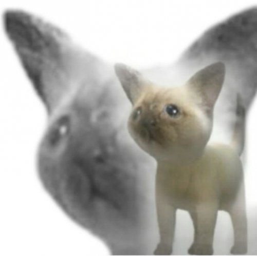 Fentboys goon list Tier List (Community Rankings) - TierMaker