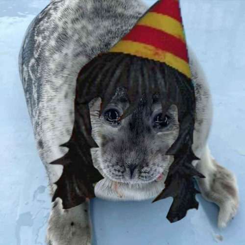 Create A Noelles Attraction List 3c Tier List Tiermaker