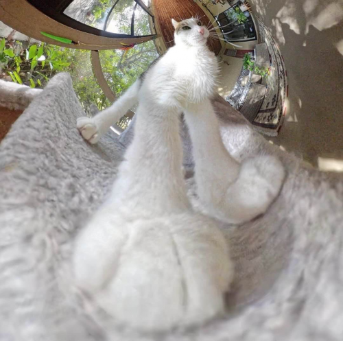 Create a Undaunted Crew Tier List - TierMaker