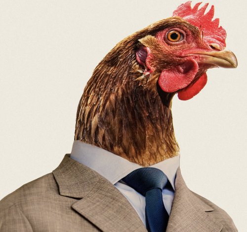 Create a Chicken Ranking Tier List - TierMaker