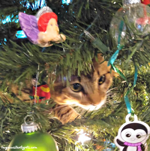 christmas movies Tier List (Community Rankings) - TierMaker