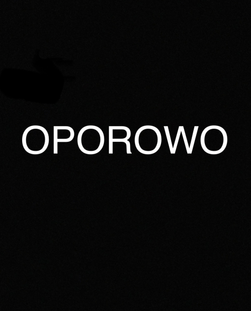 Mlodziezowe slowo roku 2024 Tier List (Community Rankings) - TierMaker