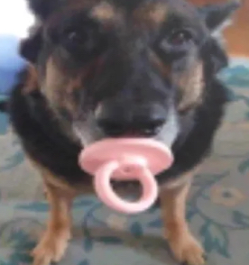 Fisch value Tier List (Community Rankings) - TierMaker