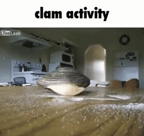 PI Clam leader Tierlist Tier List (Community Rankings) - TierMaker