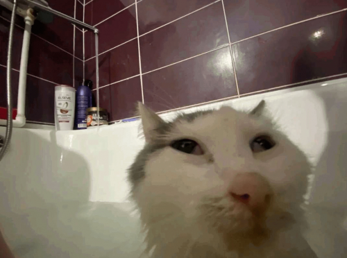 10 PLAYER FTF TIERLIST Tier List (Community Rankings) - TierMaker