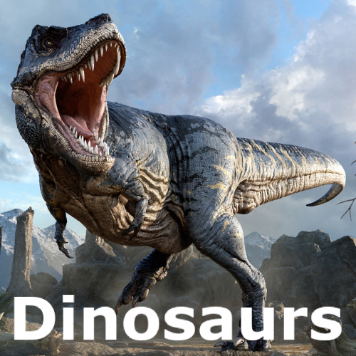 hyperfixations Tier List (Community Rankings) - TierMaker