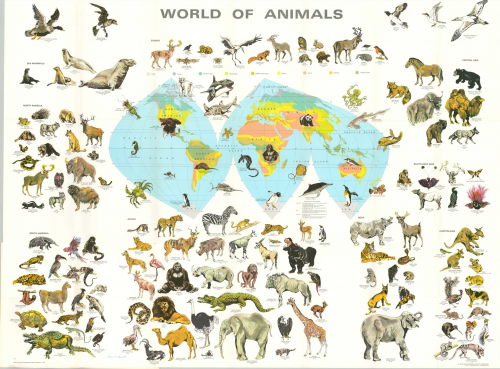 +500 Animales Tier List (Community Rankings) - TierMaker