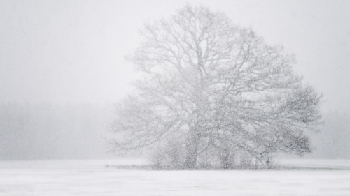 Blue lock:Rivals Tier List (Community Rankings) - TierMaker