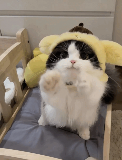 Uncon Discord Tier List (Community Rankings) - TierMaker