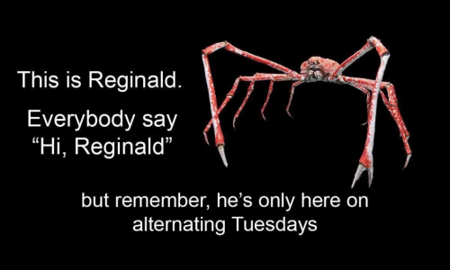 FN Tierlist Tier List (Community Rankings) - TierMaker