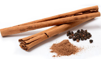 pvp(#put cinn higher) Tier List (Community Rankings) - TierMaker