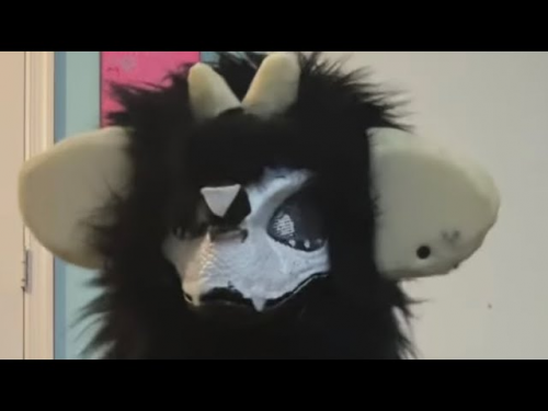 Minority Tier List (Community Rankings) - TierMaker