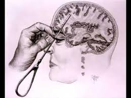 Create a Avdl Tier List - TierMaker