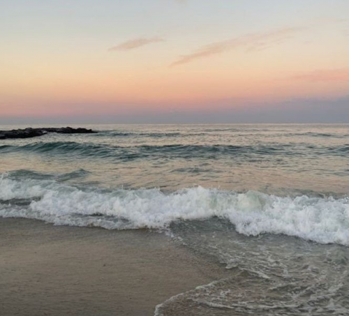 Create a SITW CAST! Tier List - TierMaker