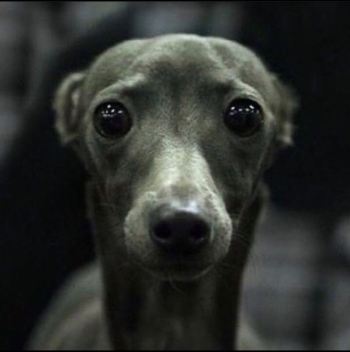 Create a iCreate Pro Members Tier List - TierMaker