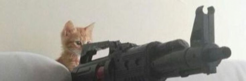 gyat rank Tier List (Community Rankings) - TierMaker