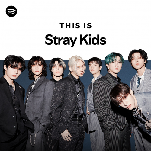 Create a Stray Kids Full Discography (UP: 13 Dec 2024) Tier List ...