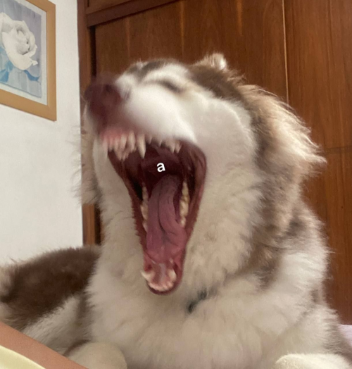 Create a Final Battle Tier List - TierMaker