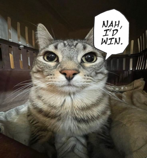 Create a YBA TL Tier List - TierMaker