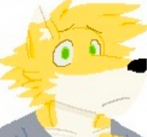 Create a zebi Tier List - TierMaker