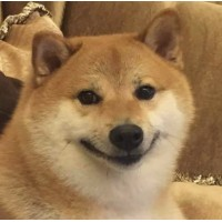 Create a Silly Gang Tier List - TierMaker