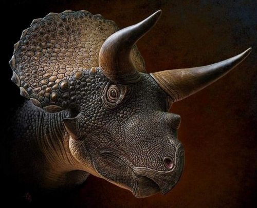 Ceratopsidae Tier List (Community Rankings) - TierMaker