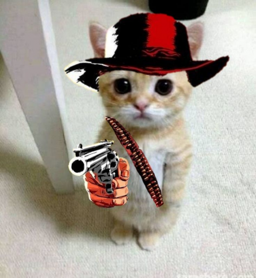 FUNNY Tier List (Community Rankings) - TierMaker