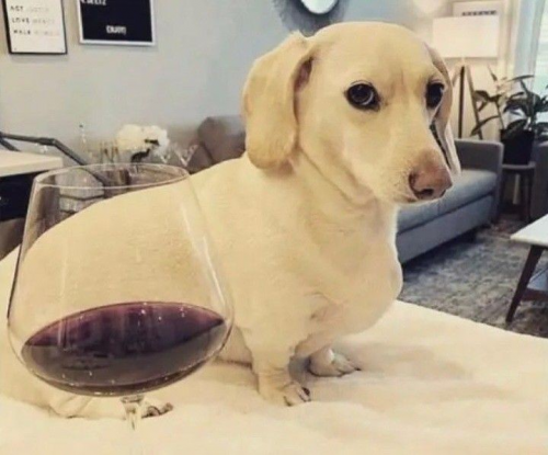 Create a Reapers Rematch Tierlist🏳️‍🌈 Tier List - TierMaker