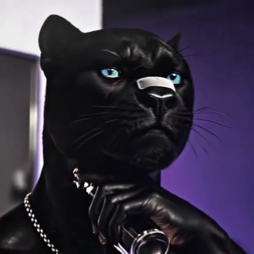 Create a tim cheese lore Tier List - TierMaker