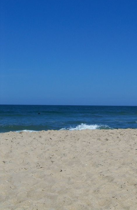 Backrooms Levels above Level 99 Tier List (Community Rankings) - TierMaker