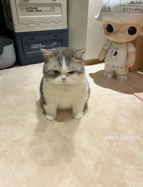 Create a Who's up creeping they cast Tier List - TierMaker