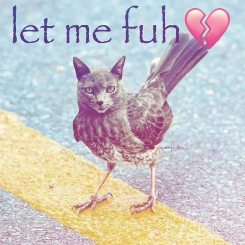 Create a i need to slob on them all Tier List - TierMaker