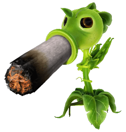 Que vibe da sobre la Mota Tier List (Community Rankings) - TierMaker