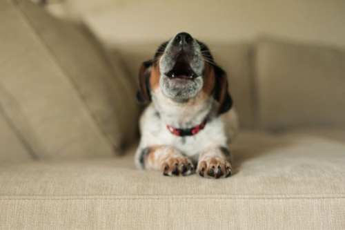 hey lol.... Tier List (Community Rankings) - TierMaker