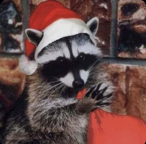 Silly OC/RP stuff Tier List (Community Rankings) - TierMaker